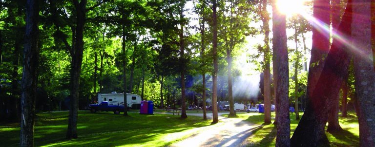 Sycamore Springs - Sycamore Springs Park