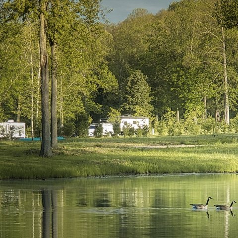Sycamore Springs Park | Family-friendly RV and Tent Camping