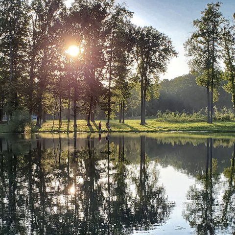 Sycamore Springs Park | Family-friendly RV and Tent Camping