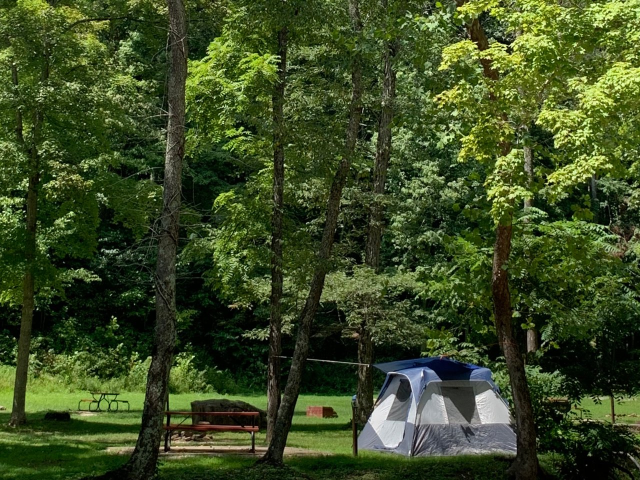 Grand Camp Guide - Sycamore Springs Park